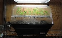 5 Best Cloning Machines to Buy In 2017