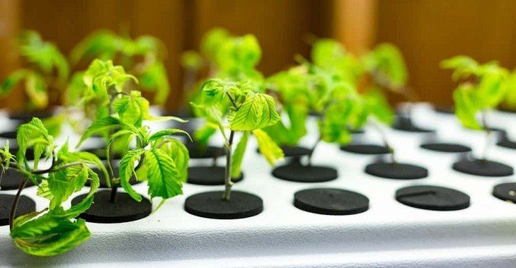 5 Best Cloning Machines – Reviews & Buying Guide